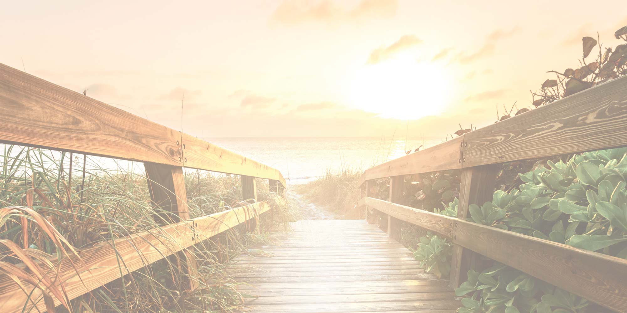 Contact | Viewon Financial Advisory